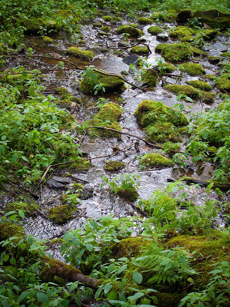 Environmental Views by Barney Taxel