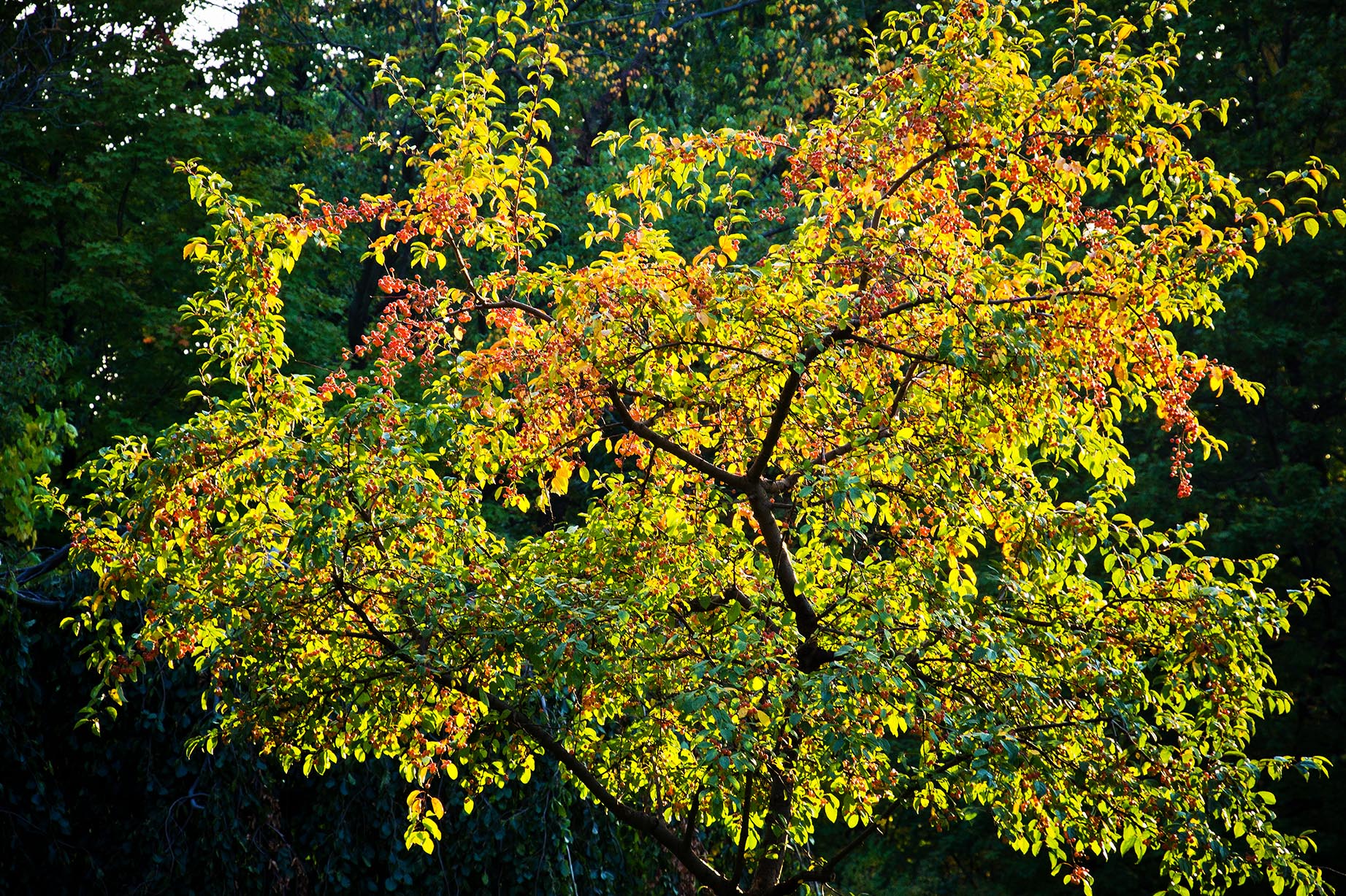 Environmental Views by Barney Taxel